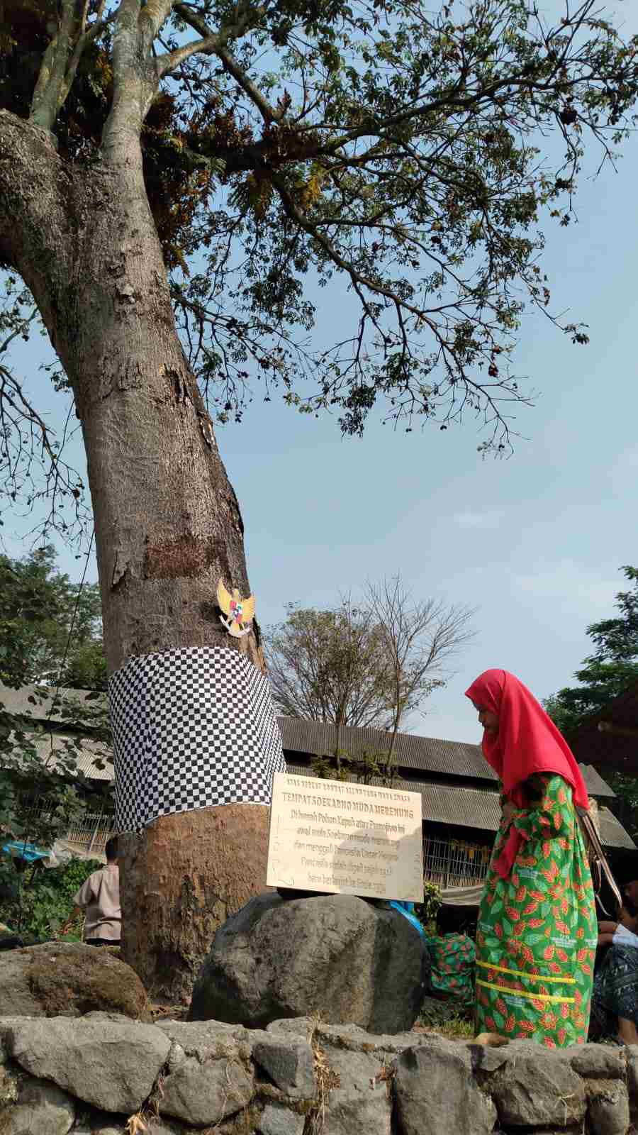 Melihat Pohon Pronojiwo Tempat Soekarno Menggali Pancasila - Menara Madinah